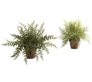 NEARLY NATURAL Fern With Decorative Planter Set Of 2 By - One-color