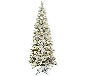VICKERMAN 6.5' Flocked Pacific Tree By