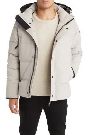 Canada Goose Wyndham Water Repellent Down Parka - Limestone
