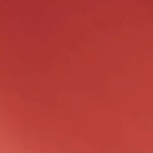 Dior Rouge Forever Liquid Lipstick - Multi