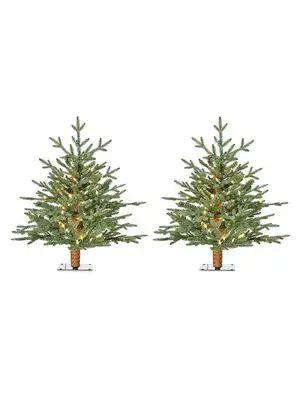 FRASER HILL FARM 2' Green Alpine 2-Piece Artificial Porch Tree Set - Green - One-color