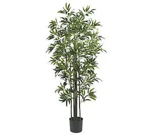 NEARLY NATURAL 6' Bamboo Tree By - One-color