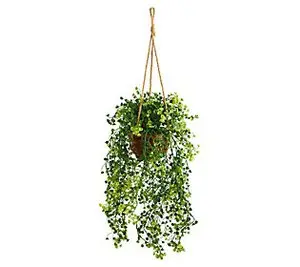 NEARLY NATURAL 20' Baby Tear Plant In Hanging B Asket - One-color