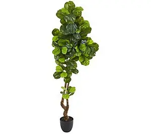 NEARLY NATURAL 78' Fiddle Leaf Artificial Tree By - One-color