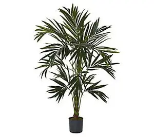 NEARLY NATURAL 6' Kentia Silk Tree By