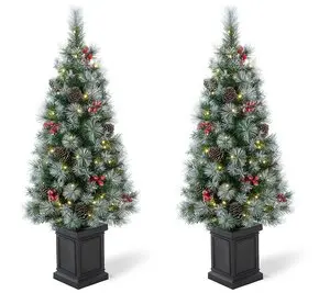 GLITZHOME 4' Pre-lit Pine Artificial Christmas Rch Tree S/2 - One-color
