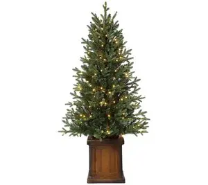 HAUTE DECOR 4.5' Pre-lit New Haven Fraser Fir Tree - One-color