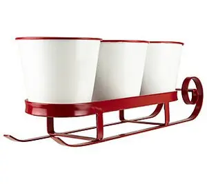 NORTHLIGHT Red Sleigh W/ Sentiment Buckets Tabl Centerpiece