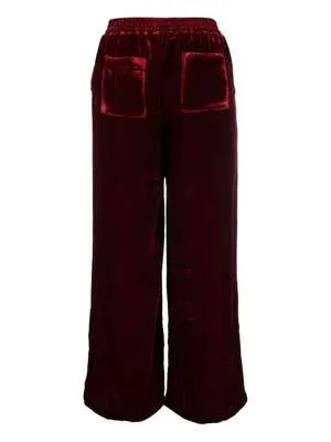 Gold Hawk Velvet Pants - Red