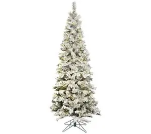 VICKERMAN 5.5' Flocked Pacific Tree By - One-color