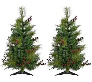 FRASER HILL FARM Set Of Two 4-ft Newberry Pine Rees - One-color