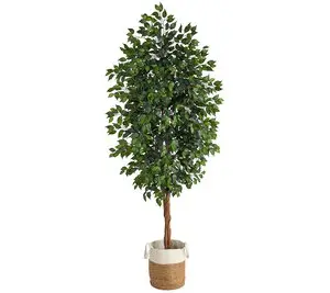 NEARLY NATURAL 8' Ficus W/ Natural Jute Planter - One-color