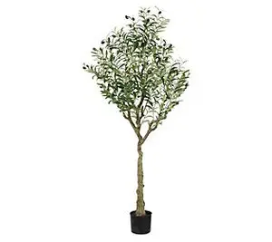 SAFAVIEH Faux Olive 60' Potted Tree - One-color