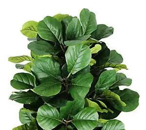SAFAVIEH Faux Fiddle Leaf Fig 72 Potted Tree