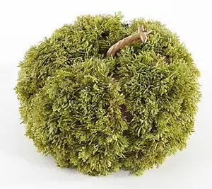 SAFAVIEH Faux 10' Moss Pumpkin