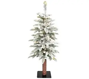FRASER HILL FARM 3-ft. Snowy Downswept Tree Wit Clear Lights - One-color