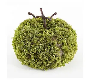 SAFAVIEH Faux 15' Moss Pumpkin - One-color