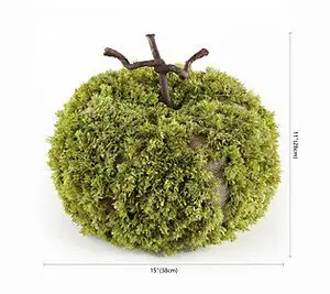 SAFAVIEH Faux 15' Moss Pumpkin