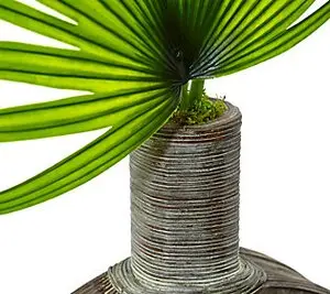 NEARLY NATURAL Fan Palm In Open Weave Vase By