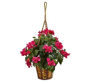 NEARLY NATURAL Bougainvillea In Hanging Basket By - One-color