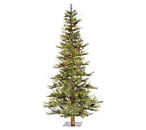 VICKERMAN 6' X 41' Ashland Tree By - One-color