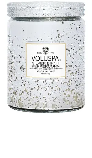 Voluspa Large Jar Candle In Metallic Silver - Silver Birch Peppercorn