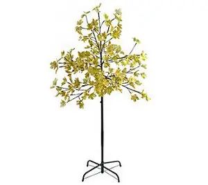 NORTHLIGHT 5' Pre-lit Led Harvest Maple Leaf Tr Ee White Lights - One-color