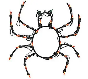 NORTHLIGHT 15' Lighted Spider Halloween Window Ecoration - One-color