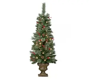 HAUTE DECOR Carolina 48' Pre-lit Indoor/outdoor Porch Tree - One-color
