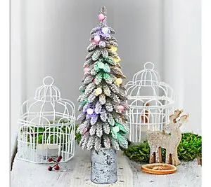 PULEO INTERNATIONAL Puleo Pre-lit 4' Potted Flocked Alpine Christma S Tree