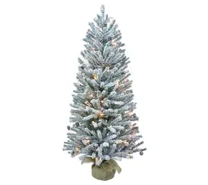 PULEO INTERNATIONAL Puleo Pre-lit 4' Flocked Fir Artificial Christm S Tree - One-color