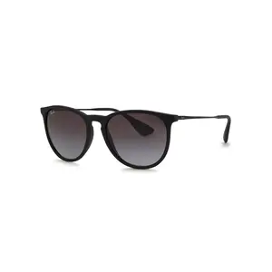 Ray-ban Matte Round-frame Sunglasses
