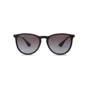 Ray-ban Matte Round-frame Sunglasses