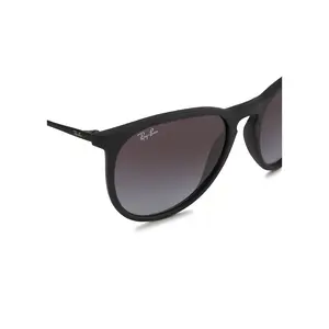 Ray-ban Matte Round-frame Sunglasses