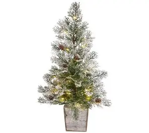 NEARLY NATURAL 2' Frosted Pre-lit Christmas Tr E In Planter - One-color