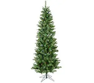 VICKERMAN 4.5' Salem Pencil Pine Tree With Multicolor Led S By - One-color
