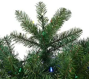 VICKERMAN 4.5' Salem Pencil Pine Tree With Multicolor Led S By