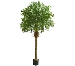 NEARLY NATURAL 80' Artificial Robellini Palm Tree Nearly Na Tural - One-color