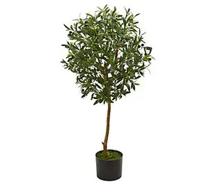 NEARLY NATURAL 3.5' Olive Artificial Tree By - One-color