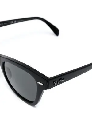 Ray-ban Wayfarer Sunglasses