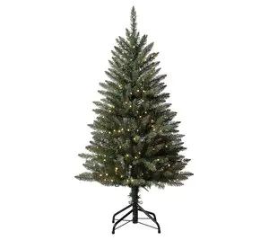HAUTE DECOR 4' Dumont Fir W/warm White 5mm Led Ights - One-color