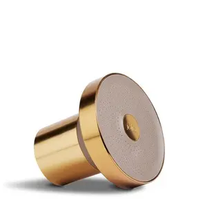 JOLIE The Filtered Showerhead Gold