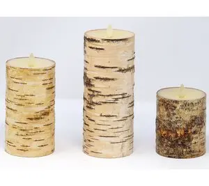 LUMINARA Set Of Birch Bark Flameless Candle Garden