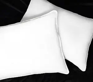 SUPERIOR Down Alternative 2-piece Pillow Set, King