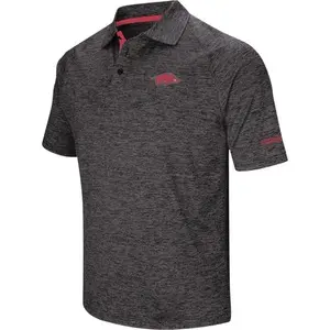 COLOSSEUM Arkansas Razorbacks Big & Tall Down Swing Polo