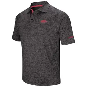 COLOSSEUM Arkansas Razorbacks Big & Tall Down Swing Polo