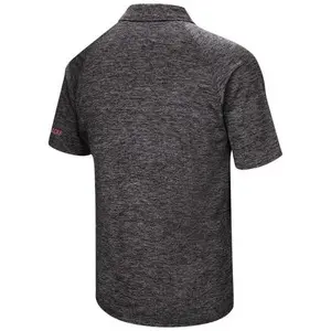 COLOSSEUM Arkansas Razorbacks Big & Tall Down Swing Polo