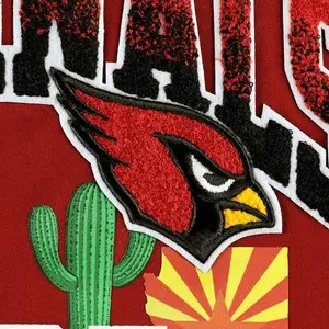 PRO STANDARD Arizona S Hometown Collection T-shirt