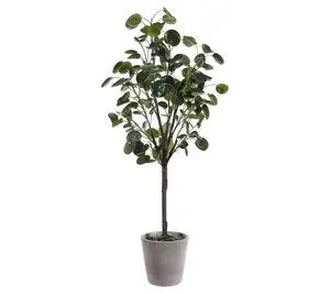 SAFAVIEH Faux Polyscias Fruticosa Potted Tree - One-color