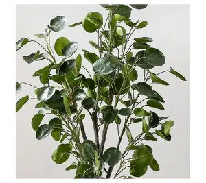 SAFAVIEH Faux Polyscias Fruticosa Potted Tree